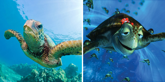 Crush From Finding Nemo Quotes. QuotesGram